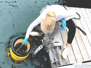 Seabin Project | Cleaning Our Oceans from Plastic Pollution